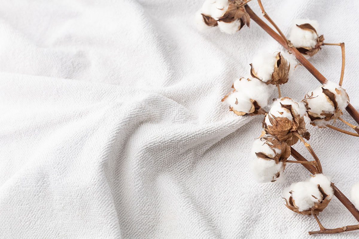 1888 Mills: Griffin’s Textile Beginnings to the End of an Era - Made in ...